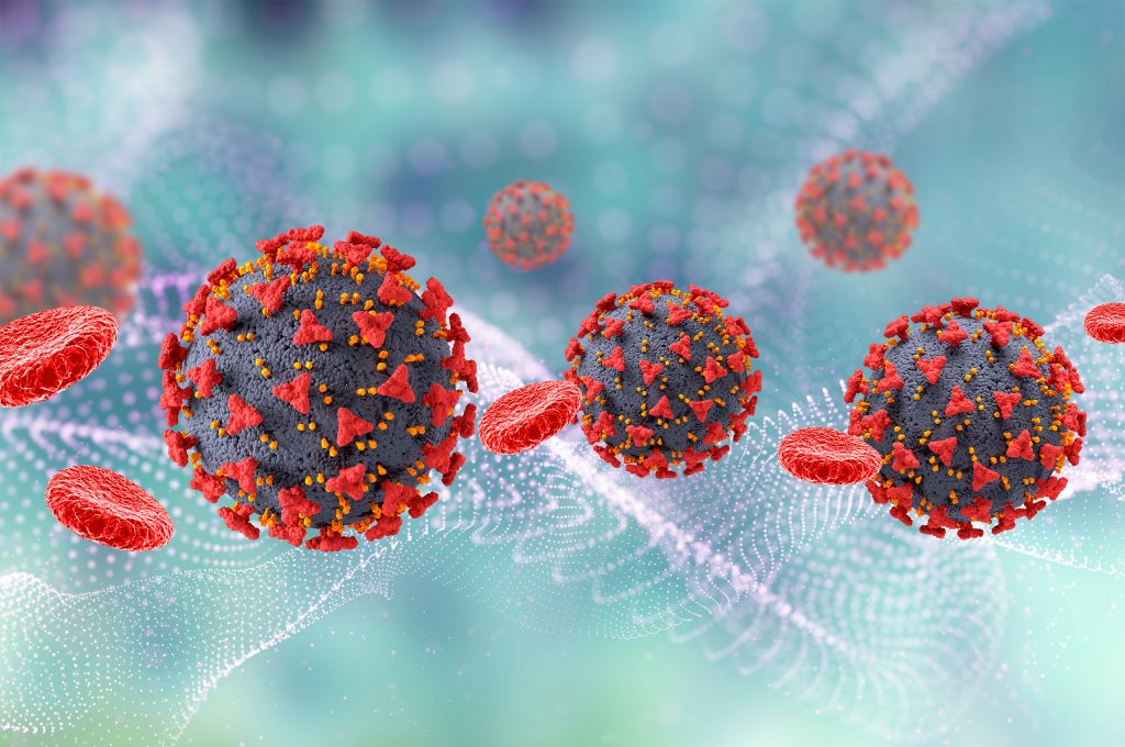 Maymun Çiçeği Virüsü Nedir? - Yeni Hayat Tıp Merkezi
